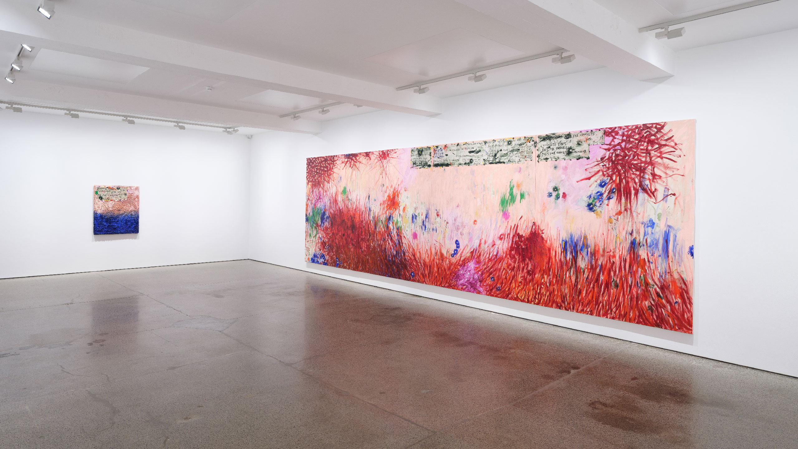 Daisy Parris - Carl Freedman Gallery